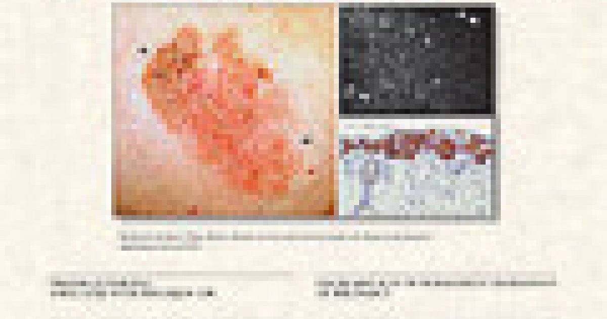 FSI | SHP - Cost-Effectiveness and Cost Benefit Analysis of Using ...