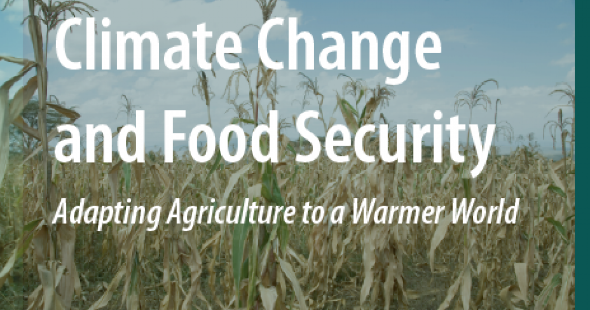 FSI | FSE - Climate Change and Food Security: Adapting Agriculture to a ...