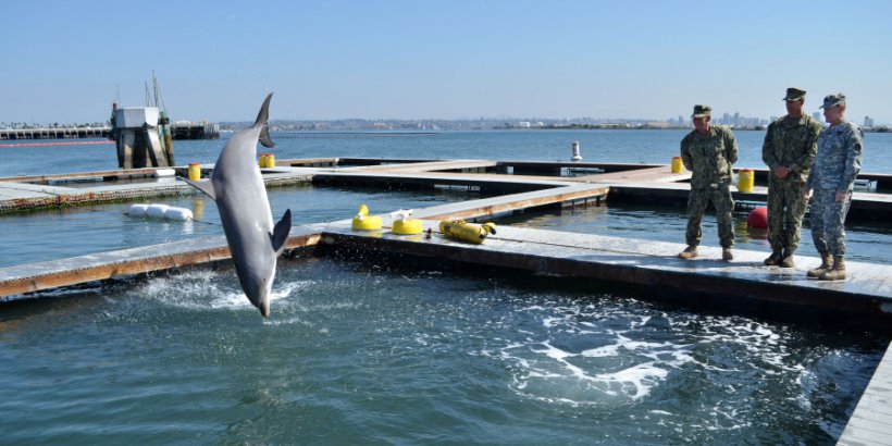 FSI | CISAC - Stanford Researchers Uncover New Bacterial Diversity ...