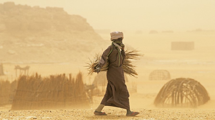 FSI - Air Pollution's Connection to Infant Mortality